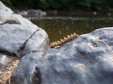 Caterpillar Ridge Photograph By Fromuth Photography Fine Art America