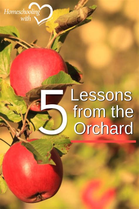 Lessons From The Orchard How To Get The Most Out Of Your Visit