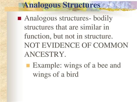 Evidence For Evolution Ppt Download