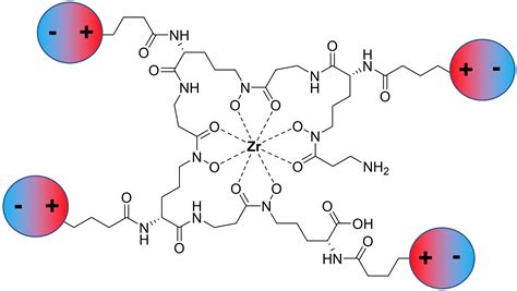 Synthesis Of Modular Desferrioxamine Analogues And Evaluation Of Zwitterionic Derivatives For