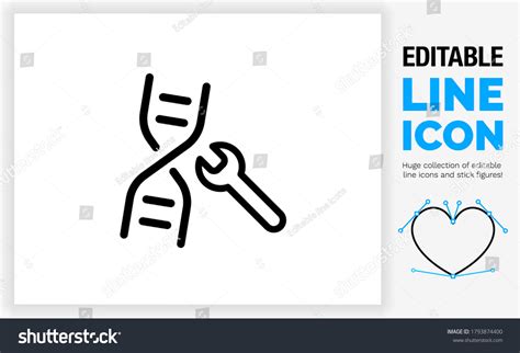 Defected Dna Over 764 Royalty Free Licensable Stock Vectors And Vector