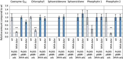 Effect Of Isoprenoid Pathways Replacement On Biosynthesis Of Endogenous