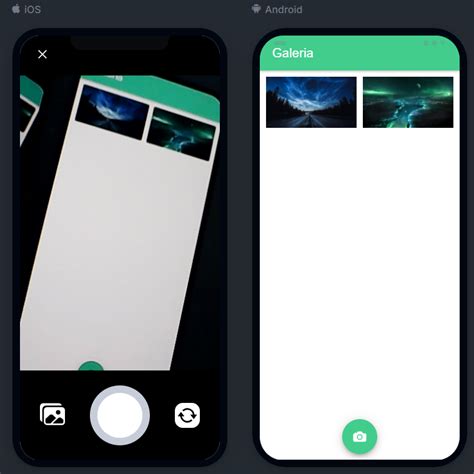 Github Carlosmaldonado1998ionic React Camera