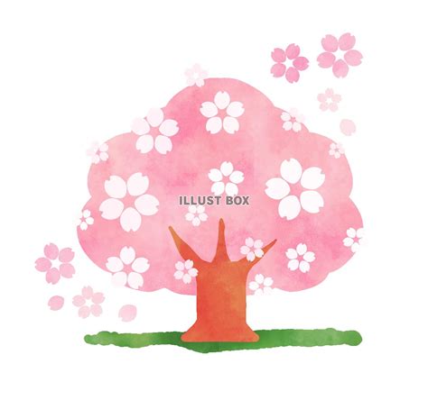 木 イラスト フリー リアル ~ 無料の印刷可能なイラスト画像