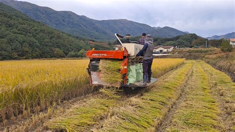 산청에 대설 농사준비 시작 지리산권 농사기록 논밭생활백과