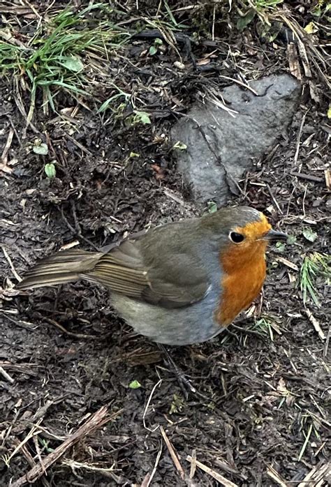 Vs Workshop Vs Workshop Added A New Photo