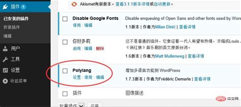 Wordpress网站配置多语言 站长资讯网