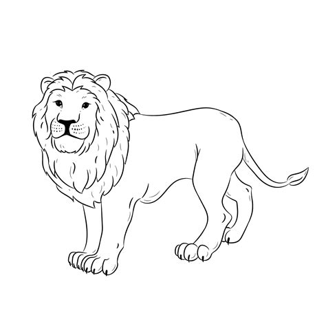 Lion Drawing Outline