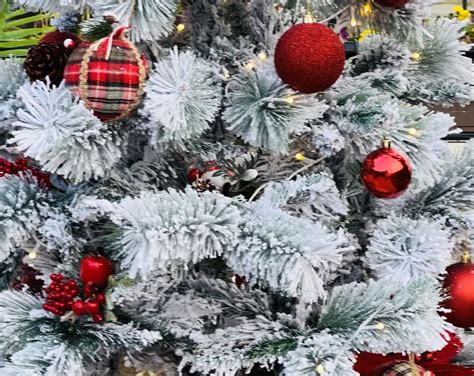 „piloti“ Za Doček Srpske Nove Godine Info Centrala