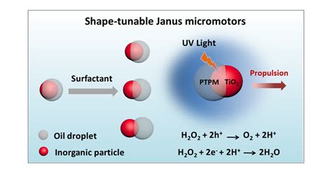 Shape Tunable Janus Micromotors Via Surfactant Induced Dewetting Langmuir