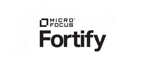 Find Fix Fortify