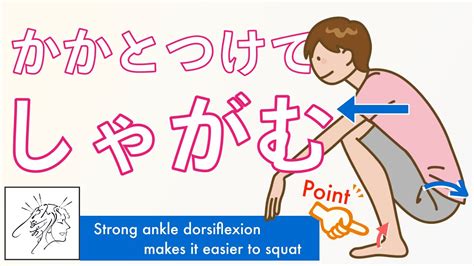 しゃがむときに【かかと浮くのを防ぐポイント】になる筋肉と対策 Youtube