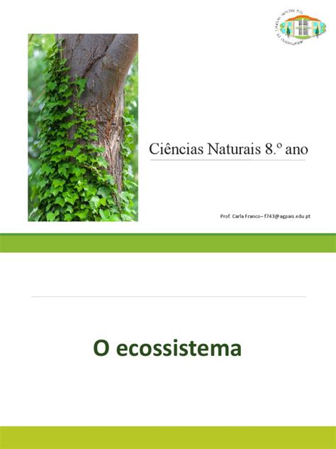 Estrutura E Funcionamento Dos Ecossistemas Download Grátis Pdf Ecossistema Florestas
