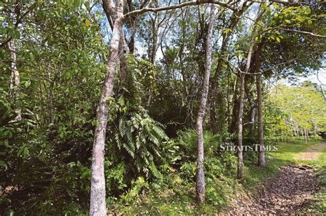 Estate Chronicles Pit Holes Were Scary New Straits Times Malaysia General Business Sports