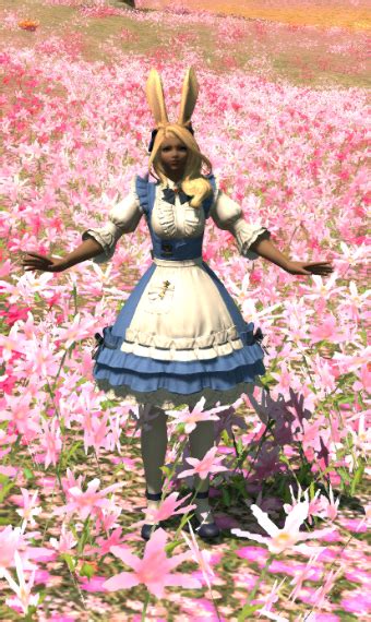 Rabbit In Wonderland Eorzea Collection