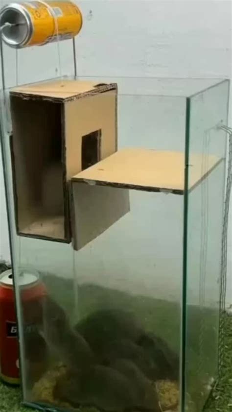 Innocentsatyam67 New Trick 😱 Reels Viral Trending Art Nature