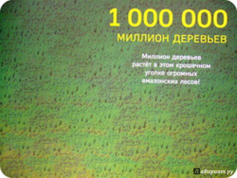 Книга: Пять лепестков и миллиард звезд. 1, 2, 3, 4, 5 - учимся считать ...
