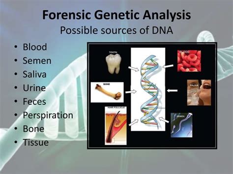 Forensic Sciences Dna Fingerprinting Str Typing Case Report Ppt