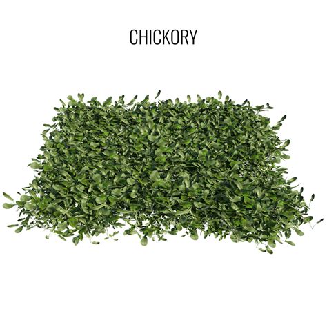 Grass 4 Game Unreal Engine Ue4 Gamedev Market