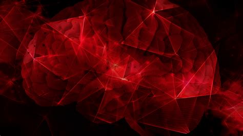 Largest Brain Tumor Database Created By UofL Researchers For Faster Treatment Discovery Archynewsy