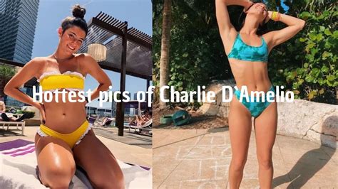 Charlie D`amelio Fap Tribute Youtube