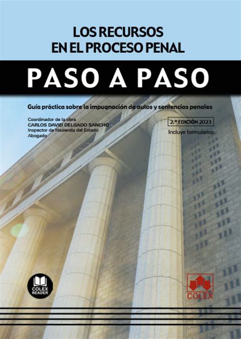 Recursos En El Proceso Penal Paso A Paso GuÍa PrÁctica Sobre La