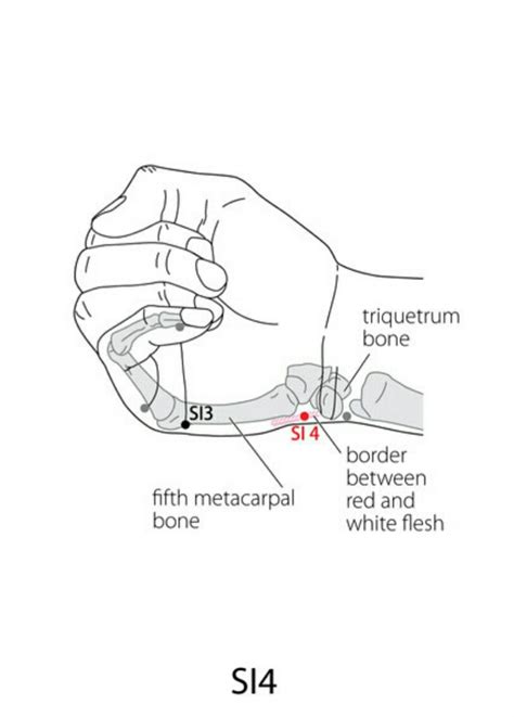 Saroepic Acupuncture Source Points