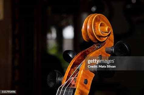 Violin Scroll Photos And Premium High Res Pictures Getty Images