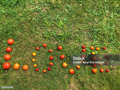 토마토에서 단어 문자 L O V E 사랑이라는 단어 녹색 잔디에 빨간색과 노란색 토마토에서 편지 생 식품 채식주의 맛있고 건강한 간식 비타민 샐러드 0명에 대한 스톡 사진