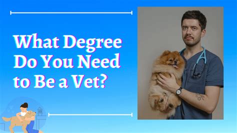 Vet Admissions Courses And Scholarships 2022 HelpToStudy 2023
