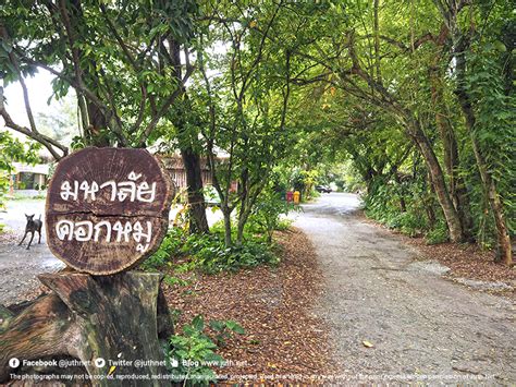 ศูนย์กสิกรรมธรรมชาติมาบเอื้อง อ บ้านบึง จ ชลบุรี