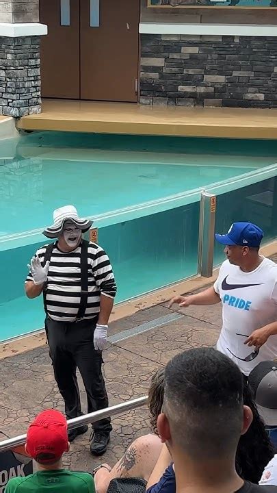 4 Cool Moments Cant Miss This 😂 Tom Mime Seaworld Seaworldmime Funny