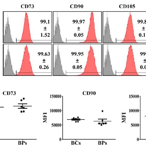 Positive Cell Surface Markers Of Bcs And Bps Positive Cell Surface Download Scientific Diagram