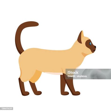 프로필에 서 있는 샴 고양이 귀여운 태국 국산 고양이 플랫 스타일로 일러스트레이션 가축에 대한 스톡 벡터 아트 및 기타 이미지
