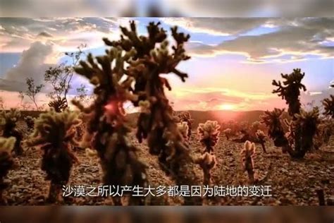 假如把“沙子”全部挖走，沙漠下还会有什么？看完真的涨知识了