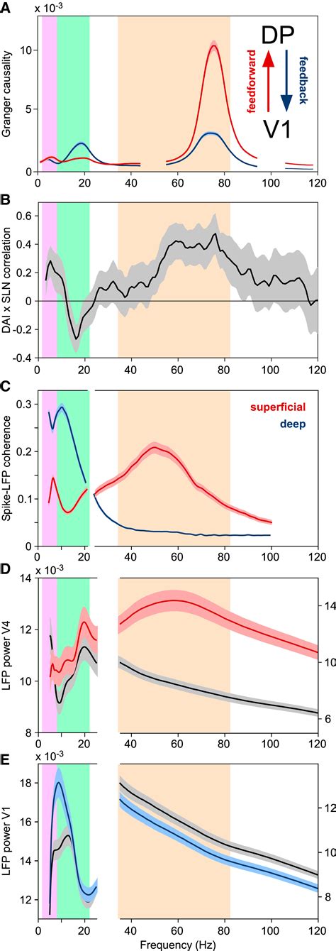 Rhythms For Cognition Communication Through Coherence Neuron