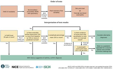 Asthma Chronic Diagnosis And Monitoring Bts Nice Sign 2024