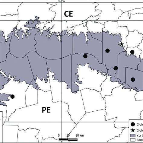 Distribution Map Of Croton Echioides In The Ca Epa Download