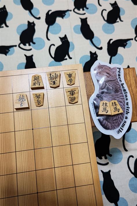 🐱榧野香一🐾詰将棋普及活動ねこ🐈 On Twitter 詰将棋 初心者専用ねこ詰将棋にゃ 🐱詰将棋普及活動ねこの 「🔰初心者専用🔰