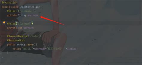 关于springboot获取自定义配置： Username 的时候，获取到的是本机用户名的问题 钱不够用阿 博客园