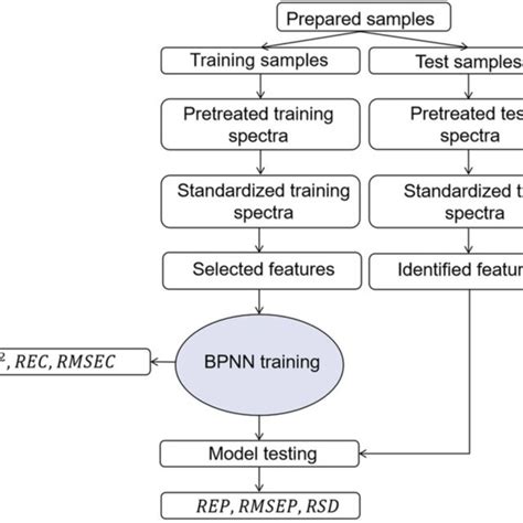Modeling Process Of A Multivariate Regression Model Download Scientific Diagram