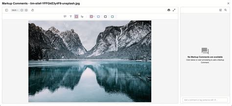 Database Upload Fields General Markup Comments Intelligencebank