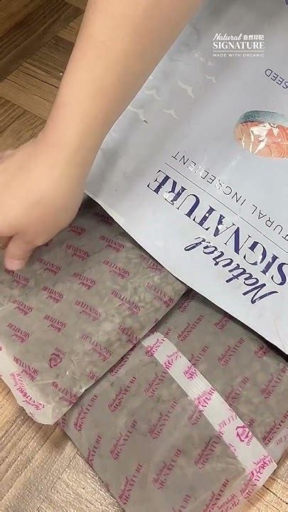 一天到晚被貓絆倒！幸好手上拿的是 月亮上有貓 Vouge摔 時尚大片 Youtube