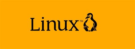 100 Top Linux Theoretical Interview Exam Questions And Answers In 2022