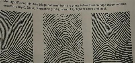 [answered] Identify Different Minutiae Ridge Patterns From The Prints