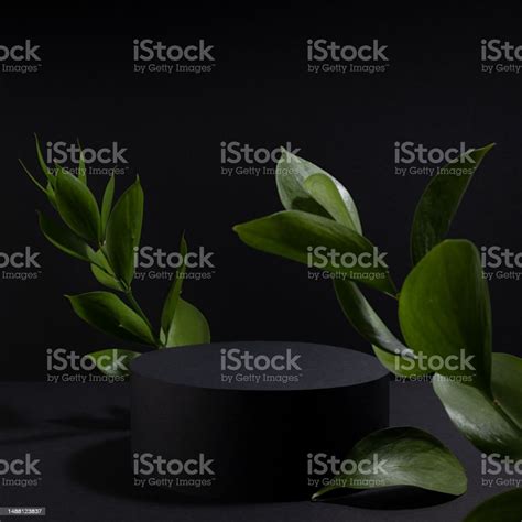 하나의 실린더 연단 모형이 있는 검은색 추상 무대 하드 라이트 그림자 현대적인 아름다움 스타일 프레젠테이션 화장품 상품 디자인