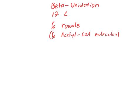 SOLVED Please Calculate The Number Of ATP That Can Be Generated From One Molecule Of The Fatty