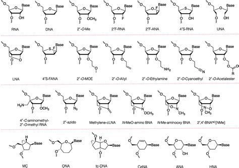 Selected Chemical Modifications Of Oligonucleotide Sugars Download Scientific Diagram