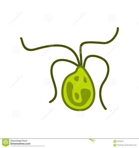 Bacterial Cell Icon Flat Style Stock Vector Illustration Of