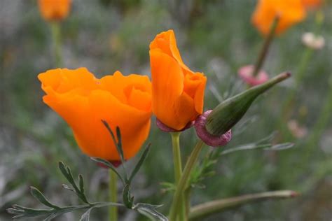 5 Exercises For Drawing With Atmospheric Perspective • Concepts App • Infinite Flexible Sketching